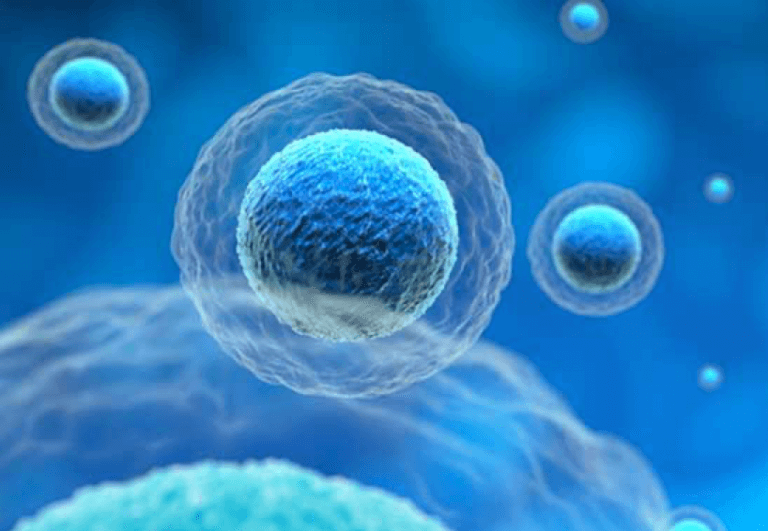 Cell Therapy GMP Manufacturing | Cellipont Bioservices